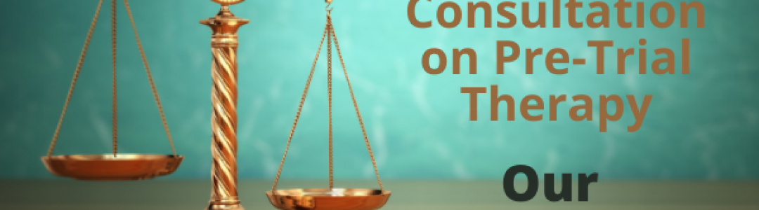 CPS Consultation - Our Response | Notts SVS Services